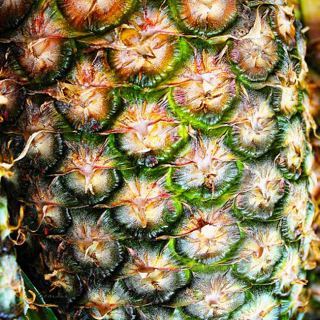 Ricardos' Creations: New WallArt Abstract Nature Tropical Pineapple ...