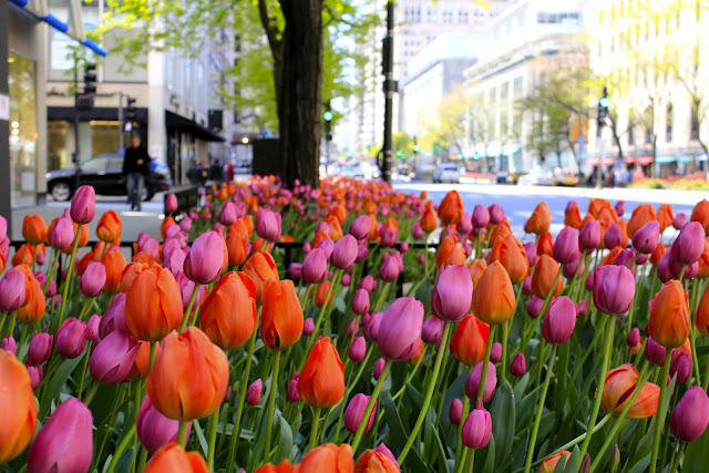 figs flowers food: STREET FLOWERS OF CHICAGO