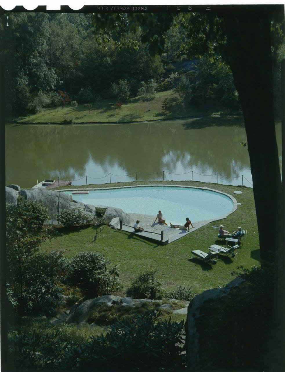 Crazy Shape Swimming Pools