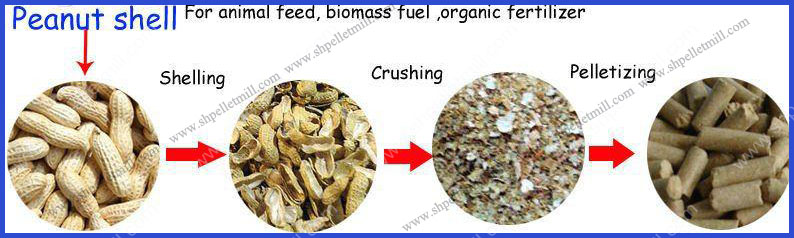 pellet mill: How to make peanut shell pellets by peanut shell pellet mill