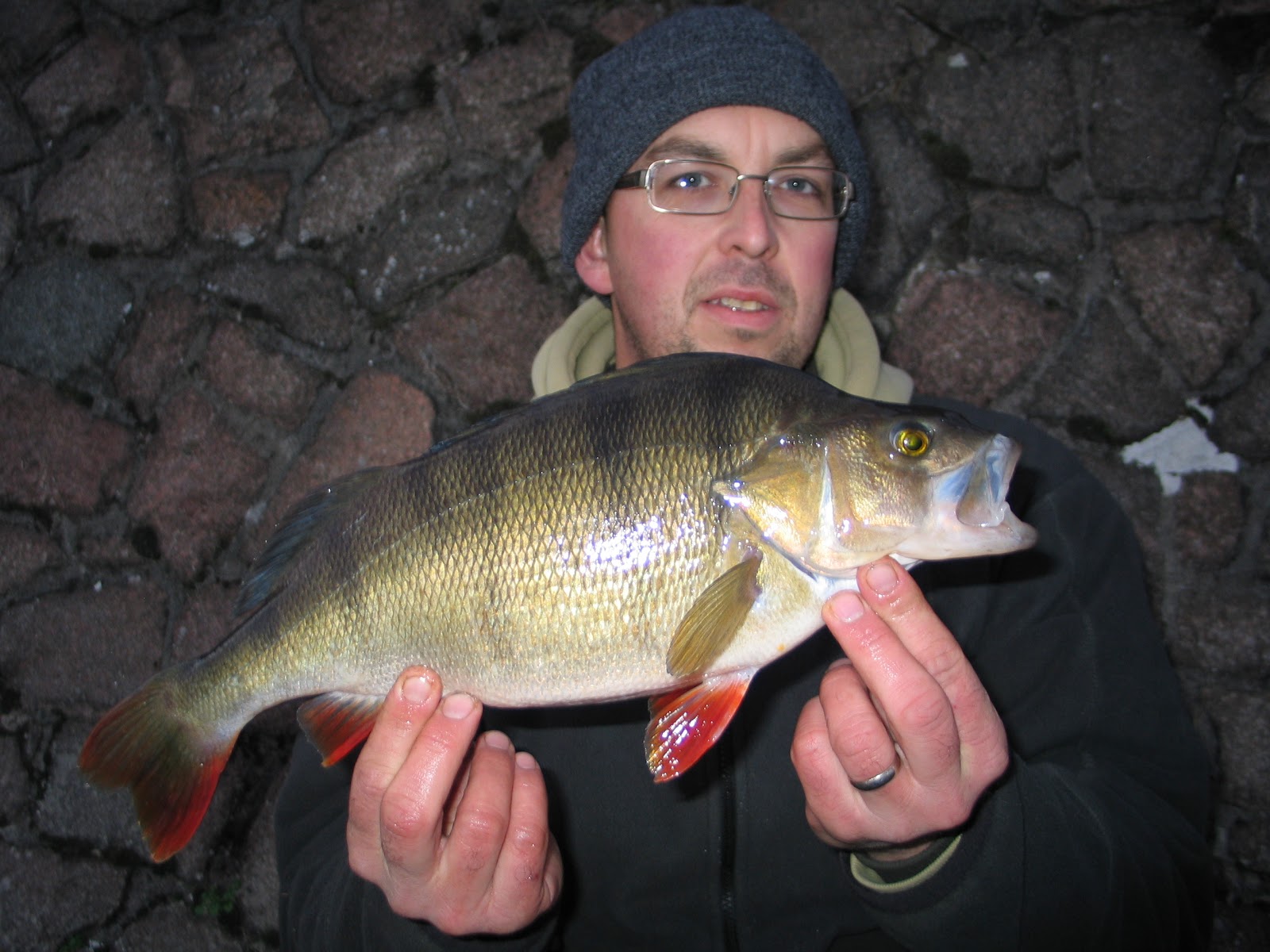 A Specialist Anglers Diary: Swithland reservoir perch - in at the deep end