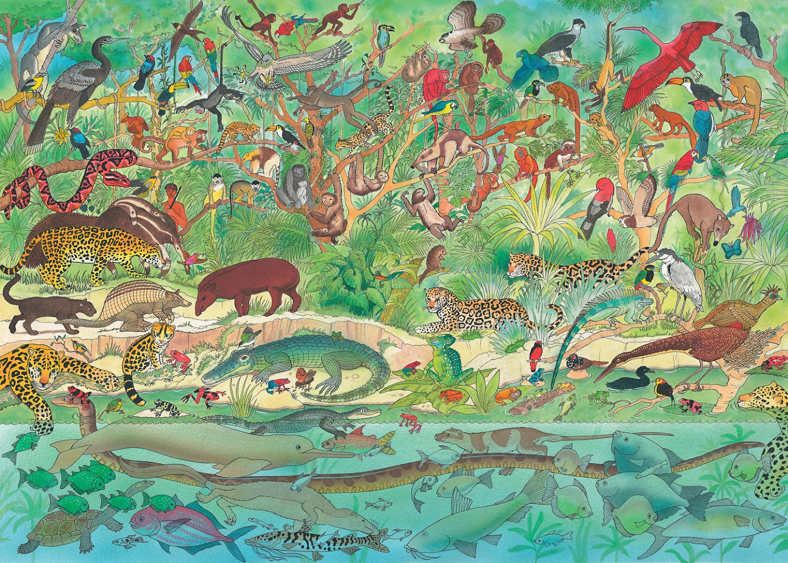 The Illustrator Richard Deverell: Animal illustrations available as ...