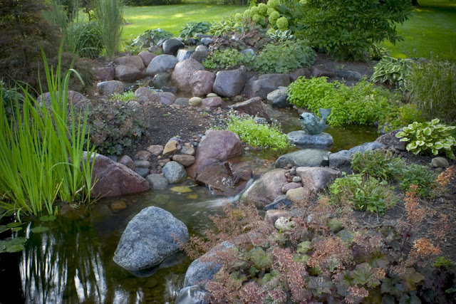 Aquascape Your Landscape: Backyard Oasis: From Drab to Fab
