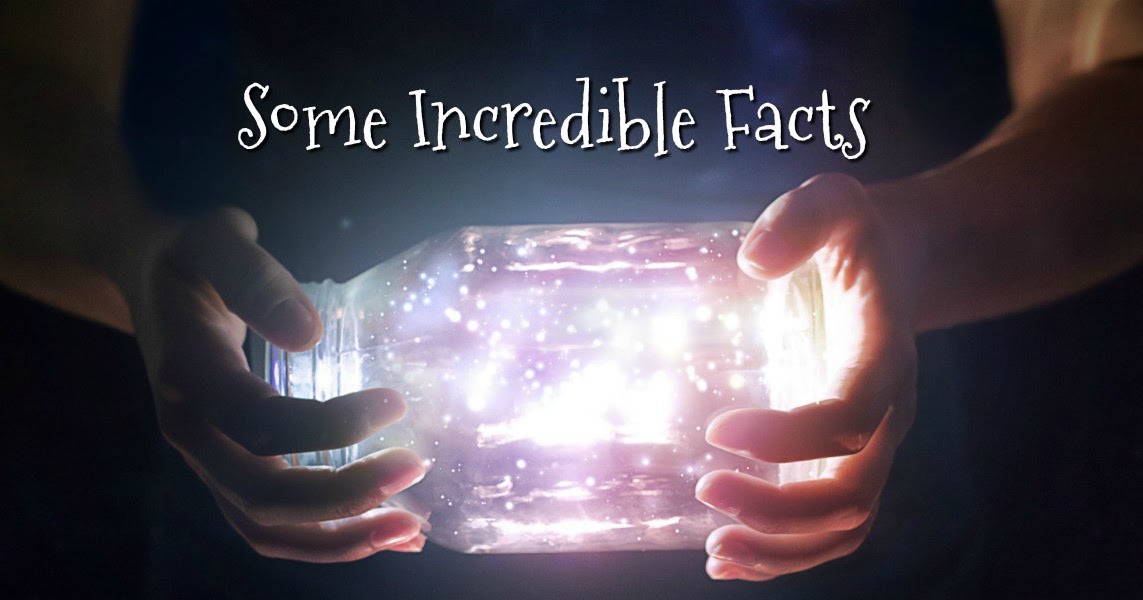 Bible Love Notes: Look at the Firefly and Praise Our Creator