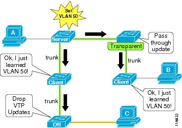 See What You Can Find: Mengenal VLAN Trunking Protocol (VTP) dan ...