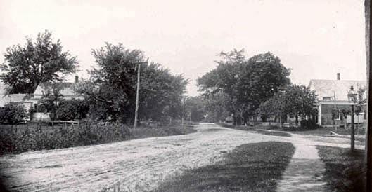 Leaf, Twig & Stem: Now and Then in Holden, Massachusetts