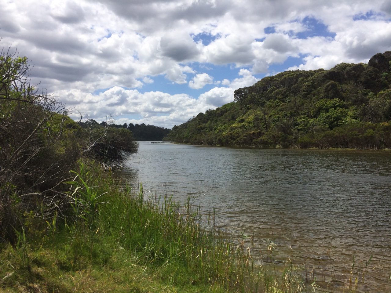 East-Gippsland Birds: Lake Bunga and the Lakes Entrance Waste Water ...