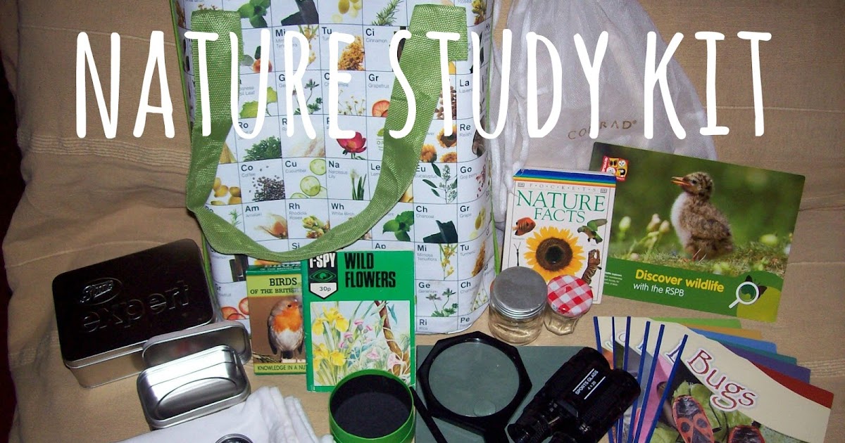 sunnydaytodaymama: A homemade Nature Study kit and an I-Spy Wild ...