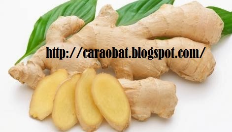kebun jahe nusantara: Manfaat Dan Khasiat Jahe Untuk Kesehatan Dan ...