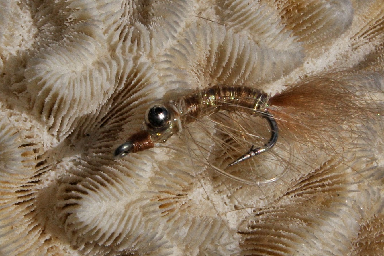 Fly Paper: My Top 5 Bonefish Flies: #3 New and Improved Mini-Puff