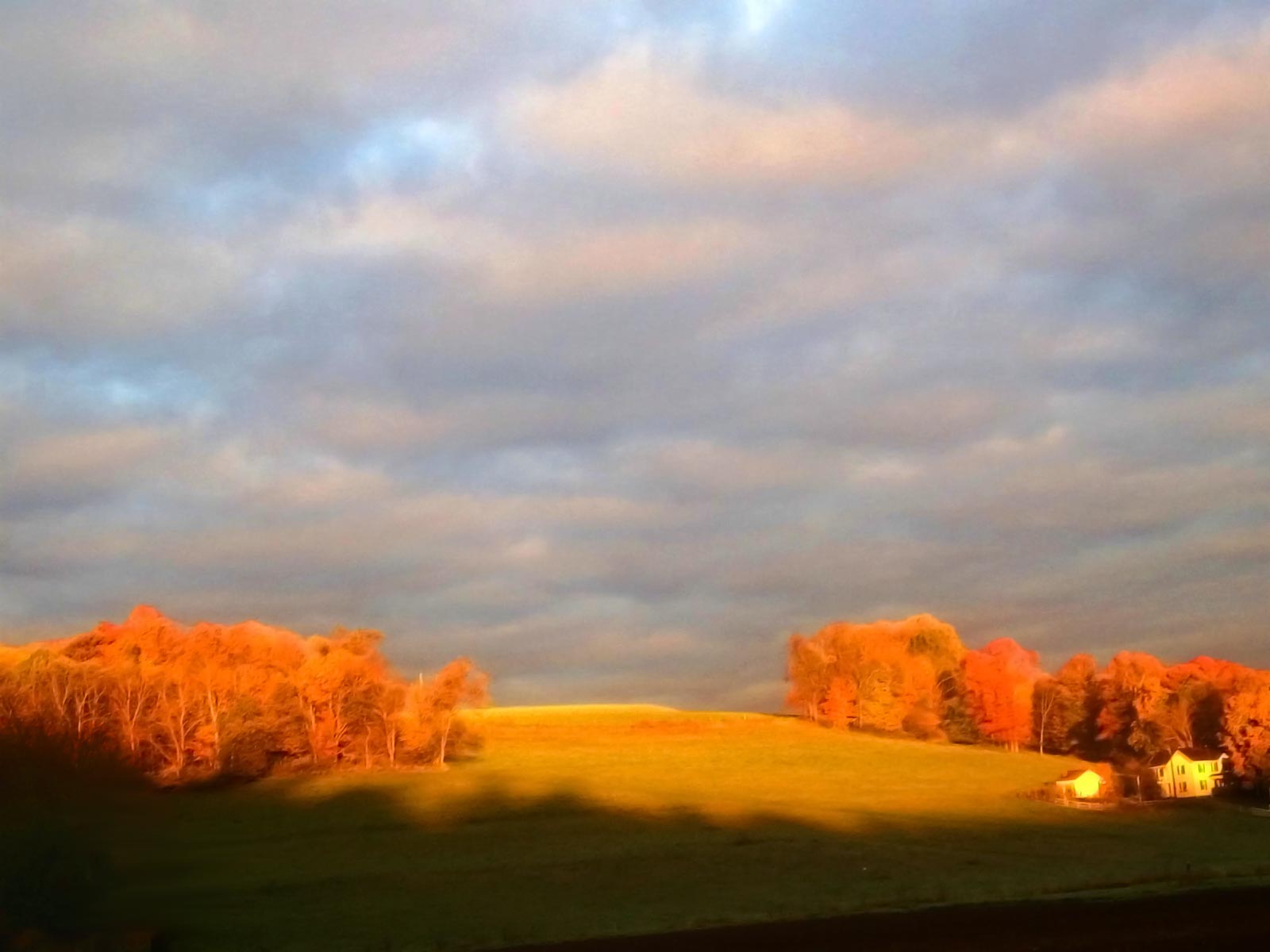 Autumn Vanilla Picture: Autumn Sky