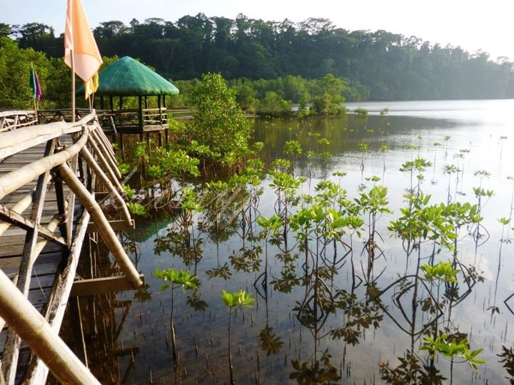 Krissylicious: SUBIC trip: Mangrove Park