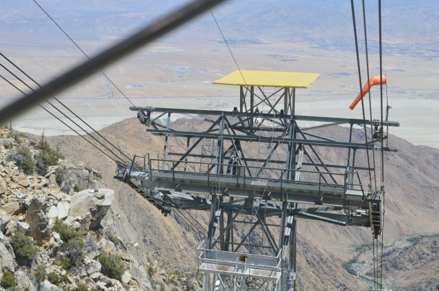 Palm Springs Aerial Tramway: 360 Degrees of Wow | MAPLE LEOPARD