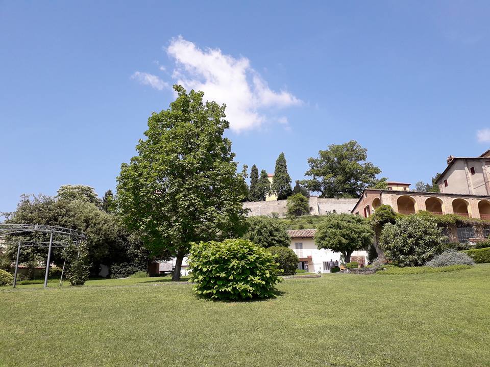 MAURO AT LARGE: ITINERARI DI PRIMAVERA SPECIALE RISO E ROSE: ANDAR PER ...