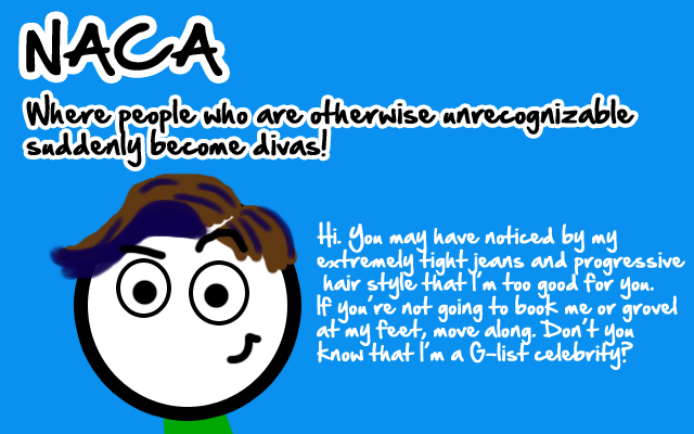 Life as LeeAnne Knows It: A Beginner's Guide to NACA