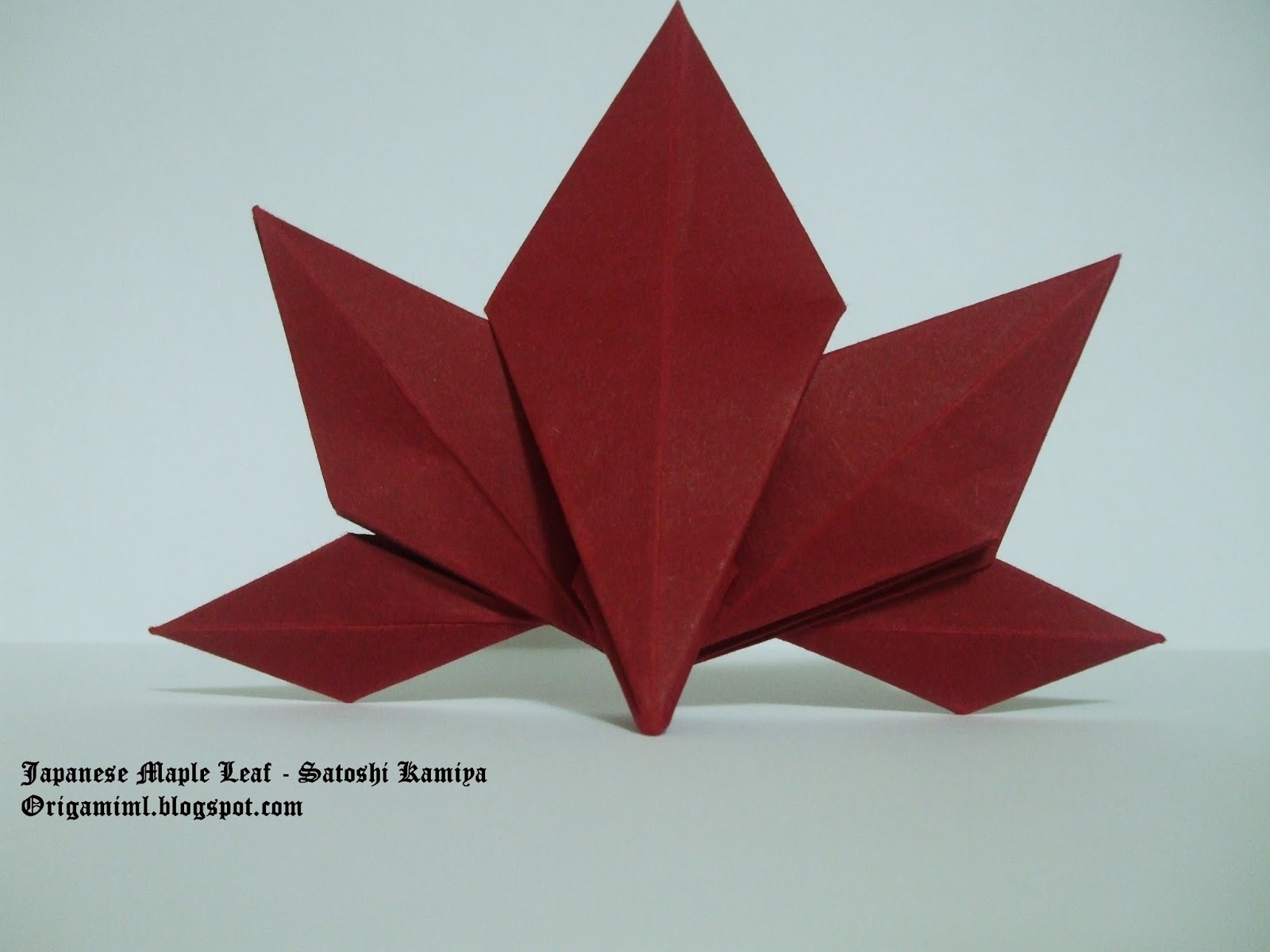 Origami Is For Everyone