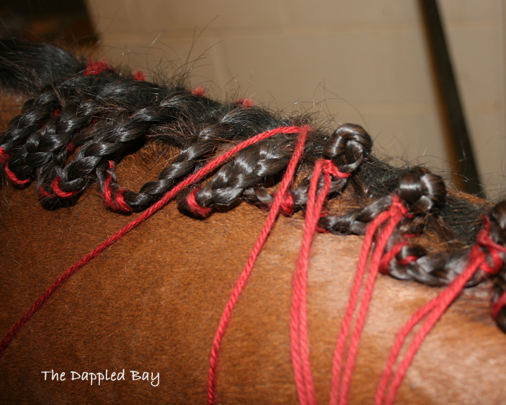 The Dappled Bay: Tutorial: Scalloped Button Braids