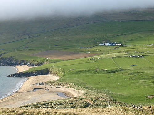Birding North Unst: 30th May 2016 Unst & Scatness NE1 increasing