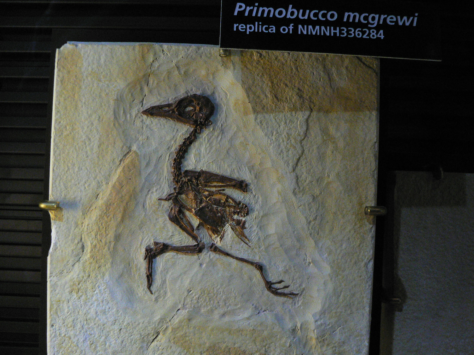 le promeneur du 68: Dans le Wyoming : nature et industrie