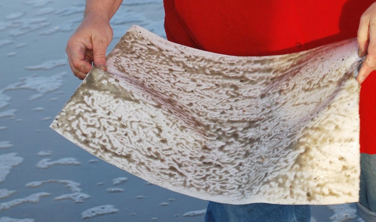 Kate's Art: Beach Wash