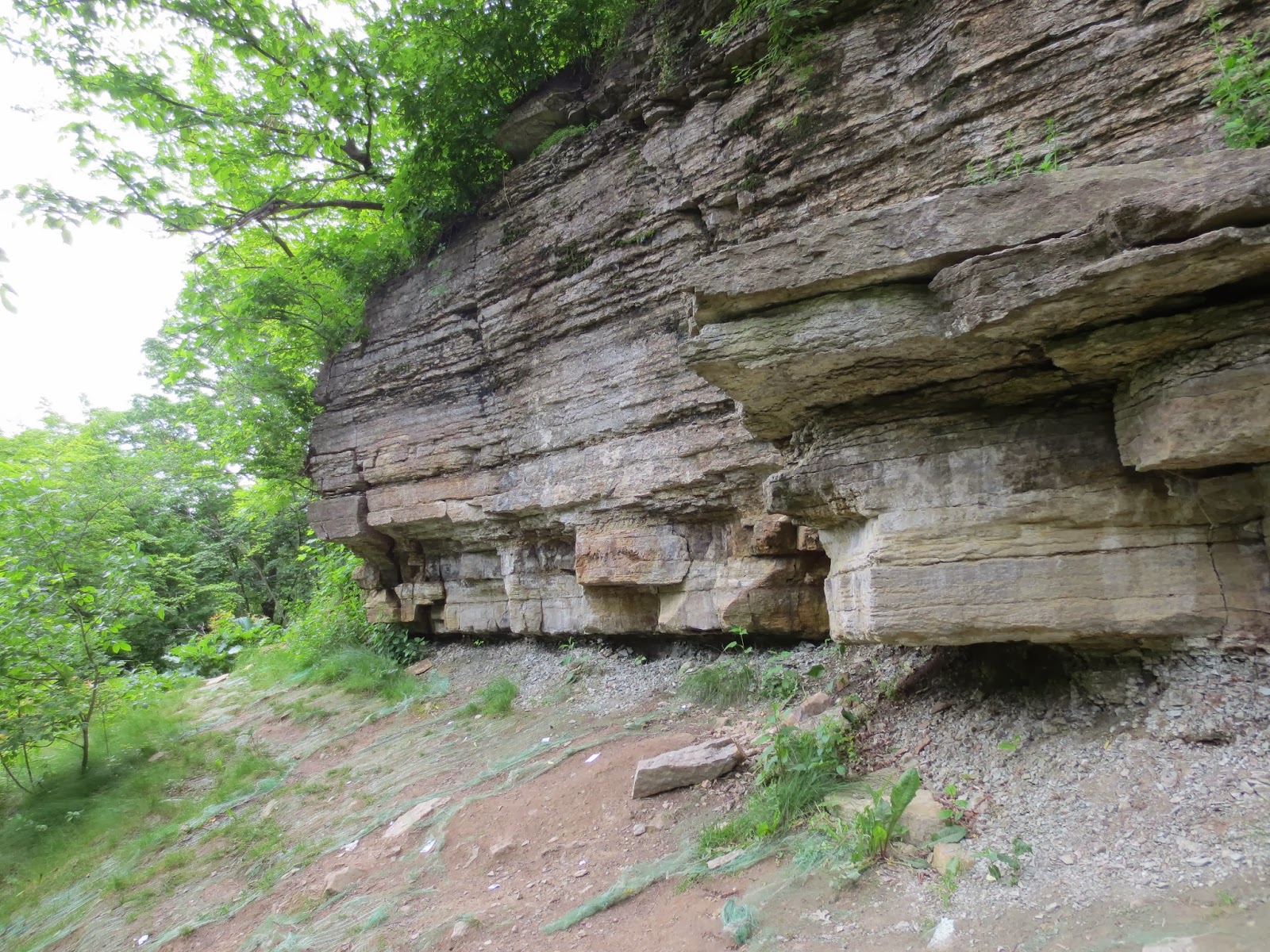 Equatorial Minnesota: Divisions of the Platteville Formation
