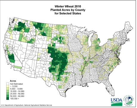 Financial Advisor | Financial Forecasts about 2014-2015 Forex | Gold ...