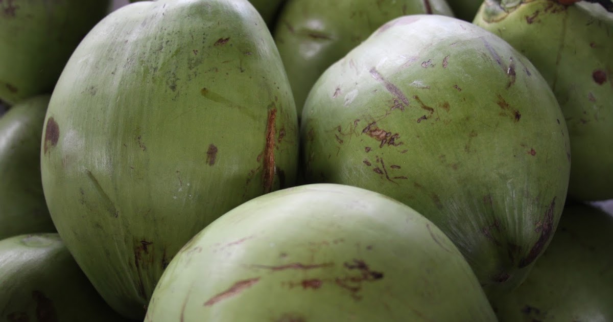 Conheça os diferentes tipos de coco comercializados na CEAGESP