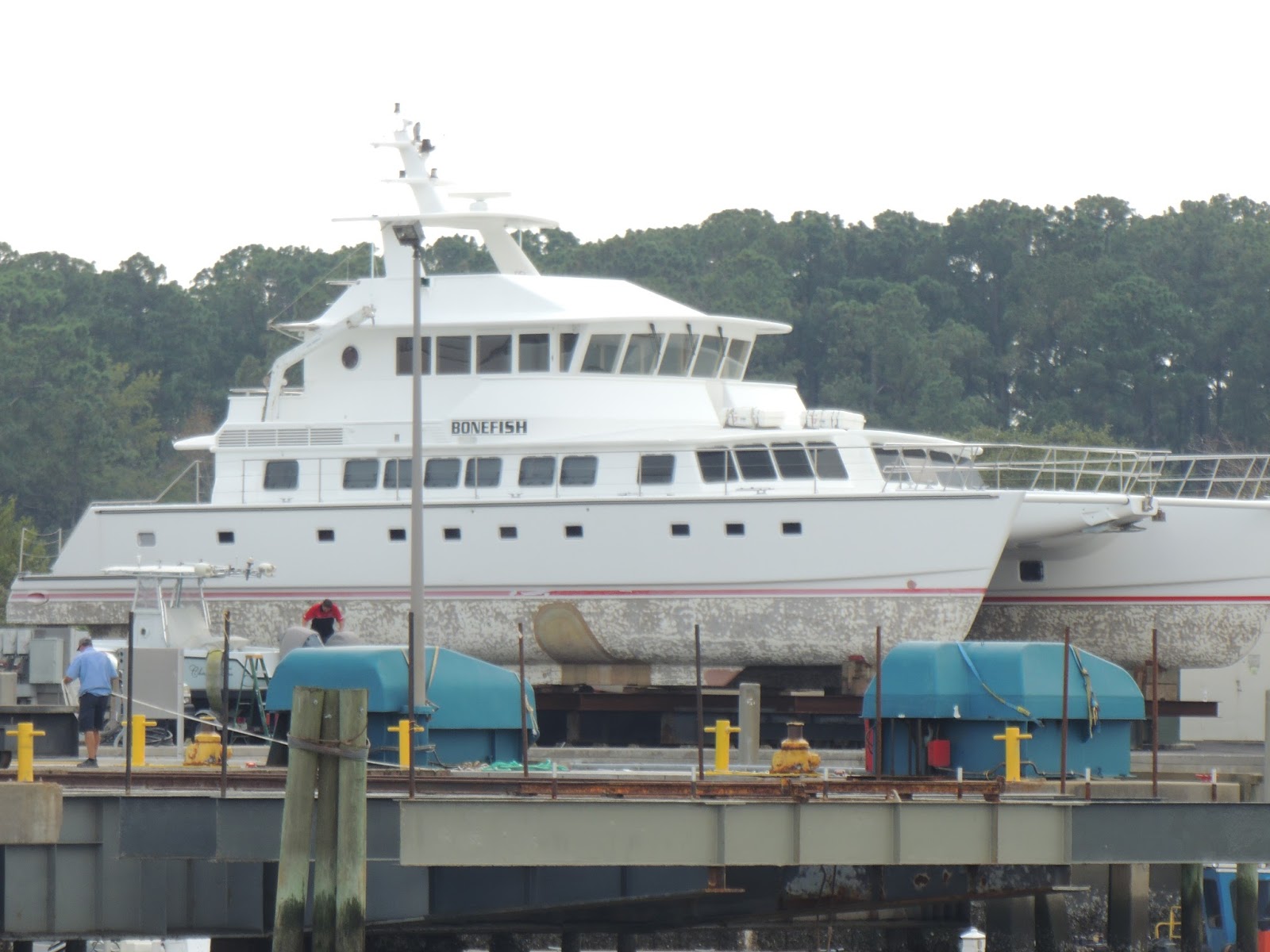 Tide Hiker Adventures: Thunderbolt Marine