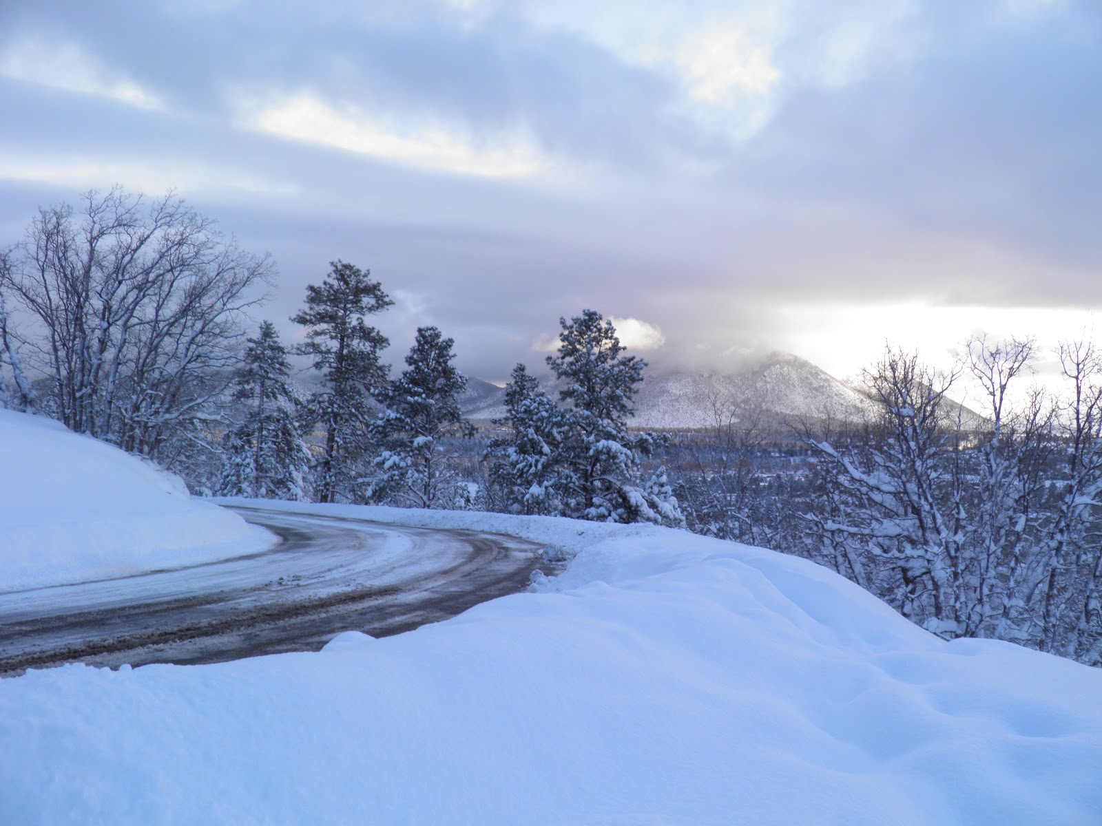 walking flagstaff: monday morning after snow storm