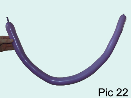 CLASSICAL: Balloon rose