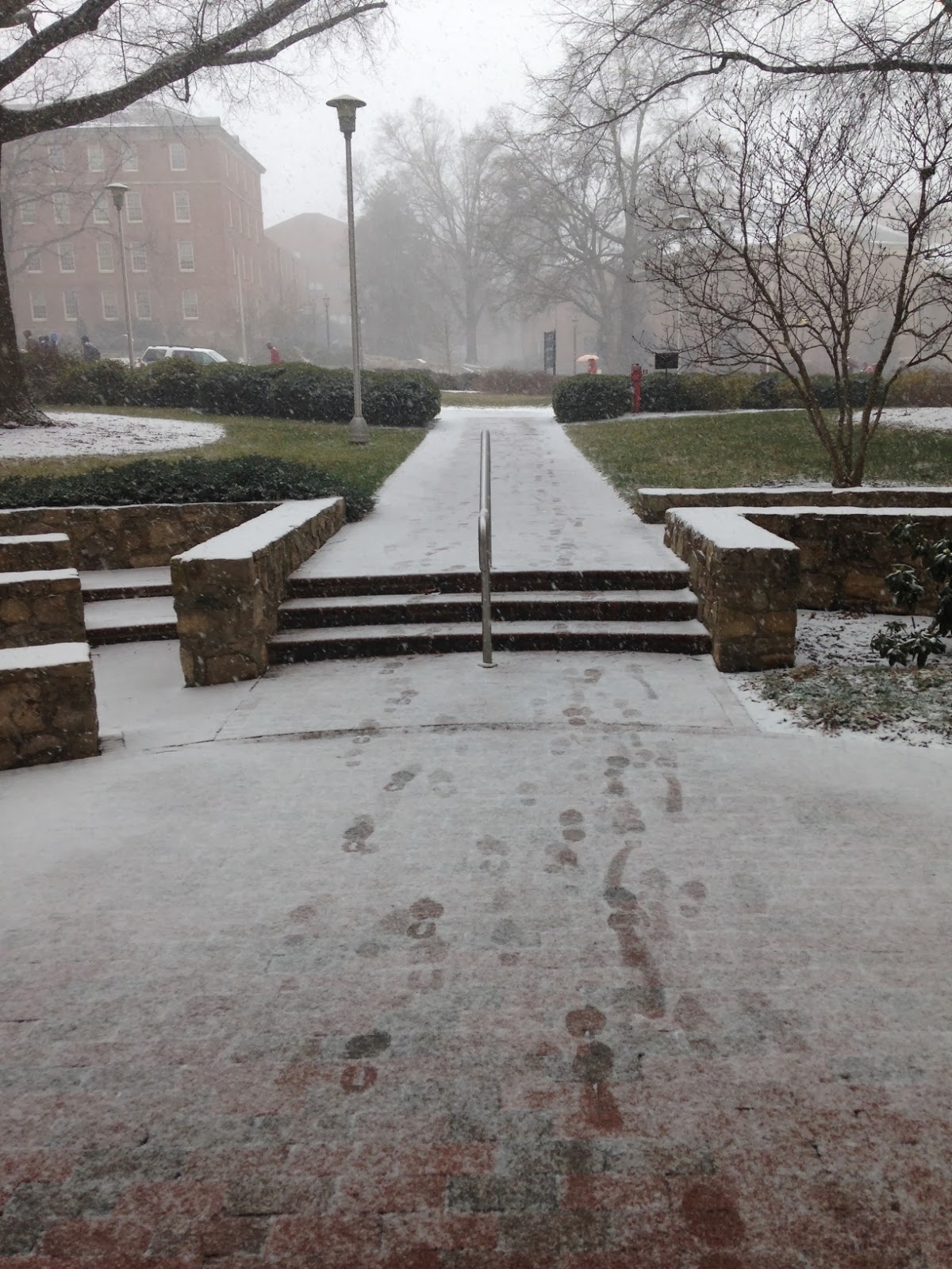 The Next Chapter: Life in North Carolina: The NC Snowpocalypse!