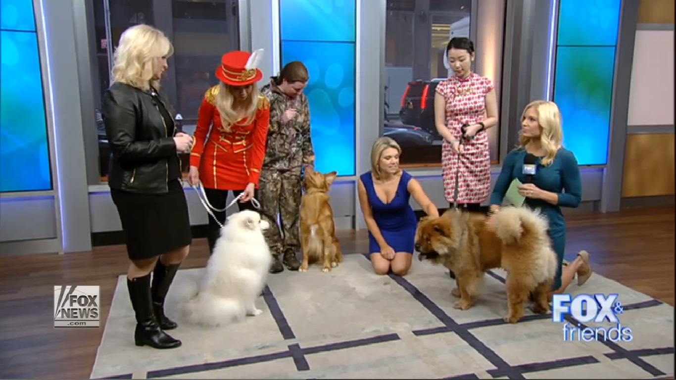 Reporter101 Blogspot: Second Week of Feb 2016: Fox Ladies caps/pictures ...