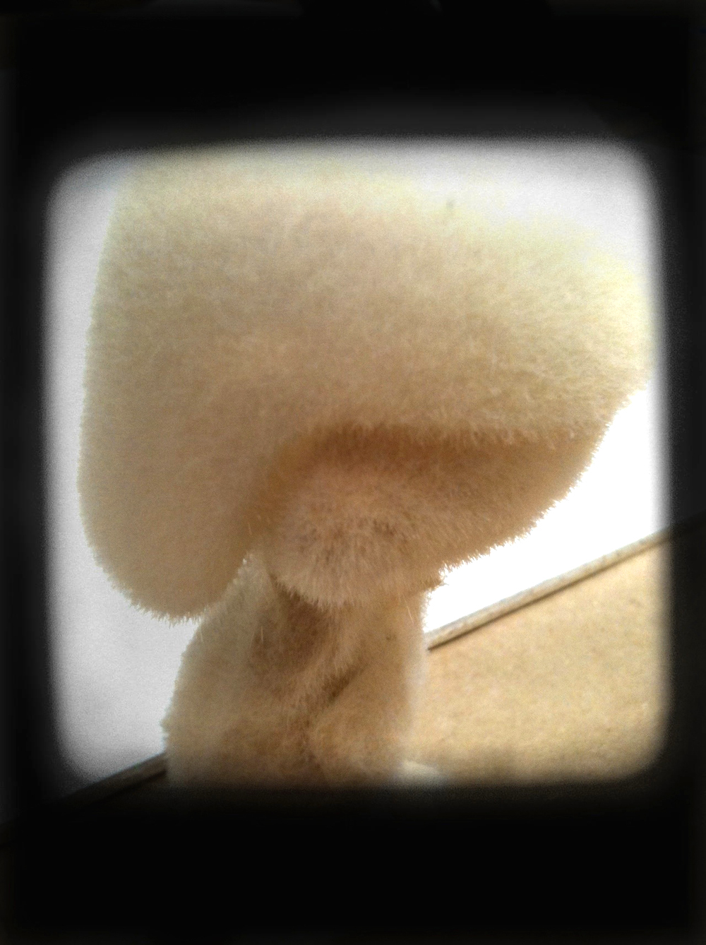 Miss Mindy: Red Queen & White Rabbit - Final pics & process...