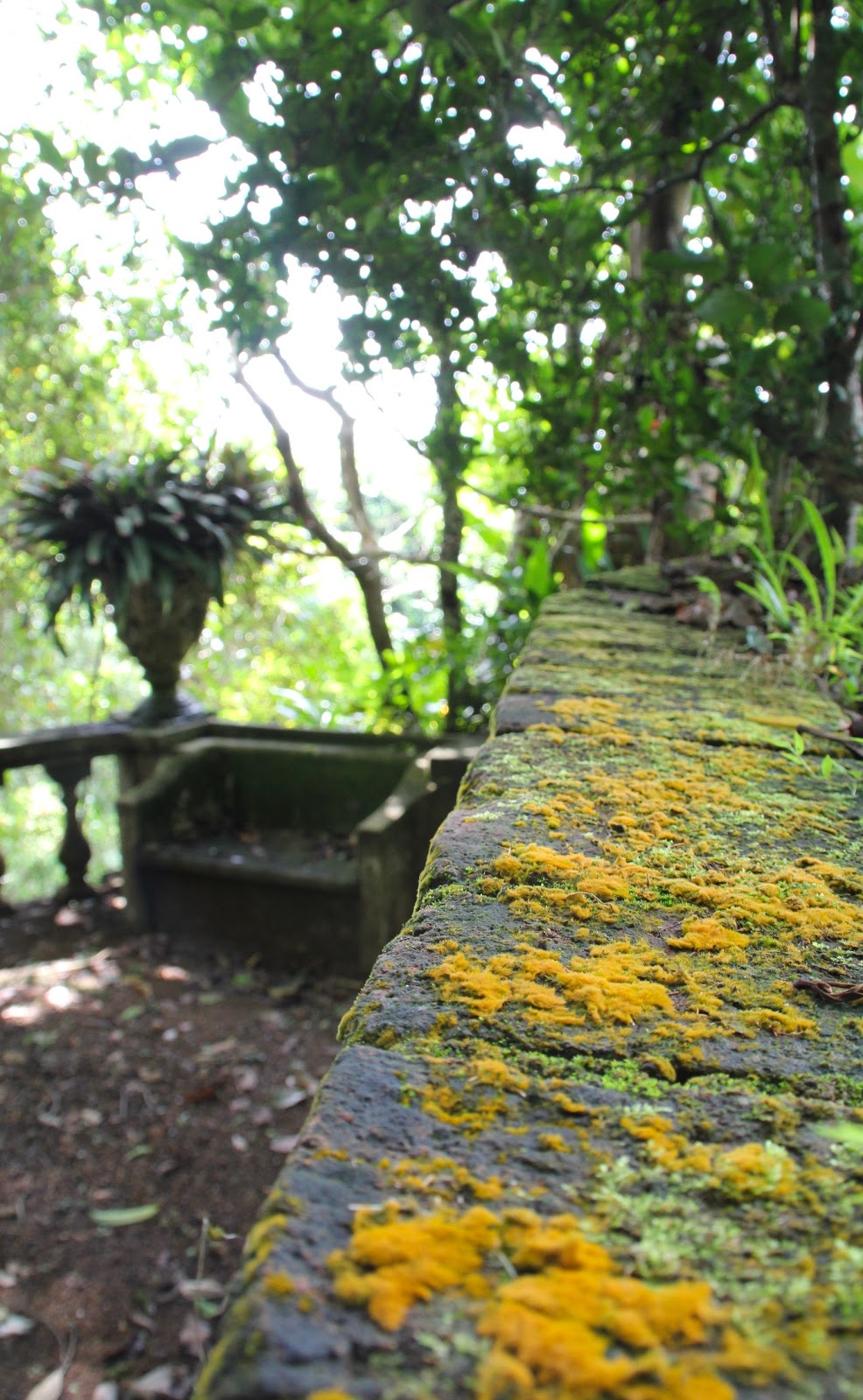 The Butchart Gardens: Sri Lanka - Bawa