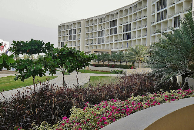 Go with Henry: Exploring the Millenium hotel grounds and facilities