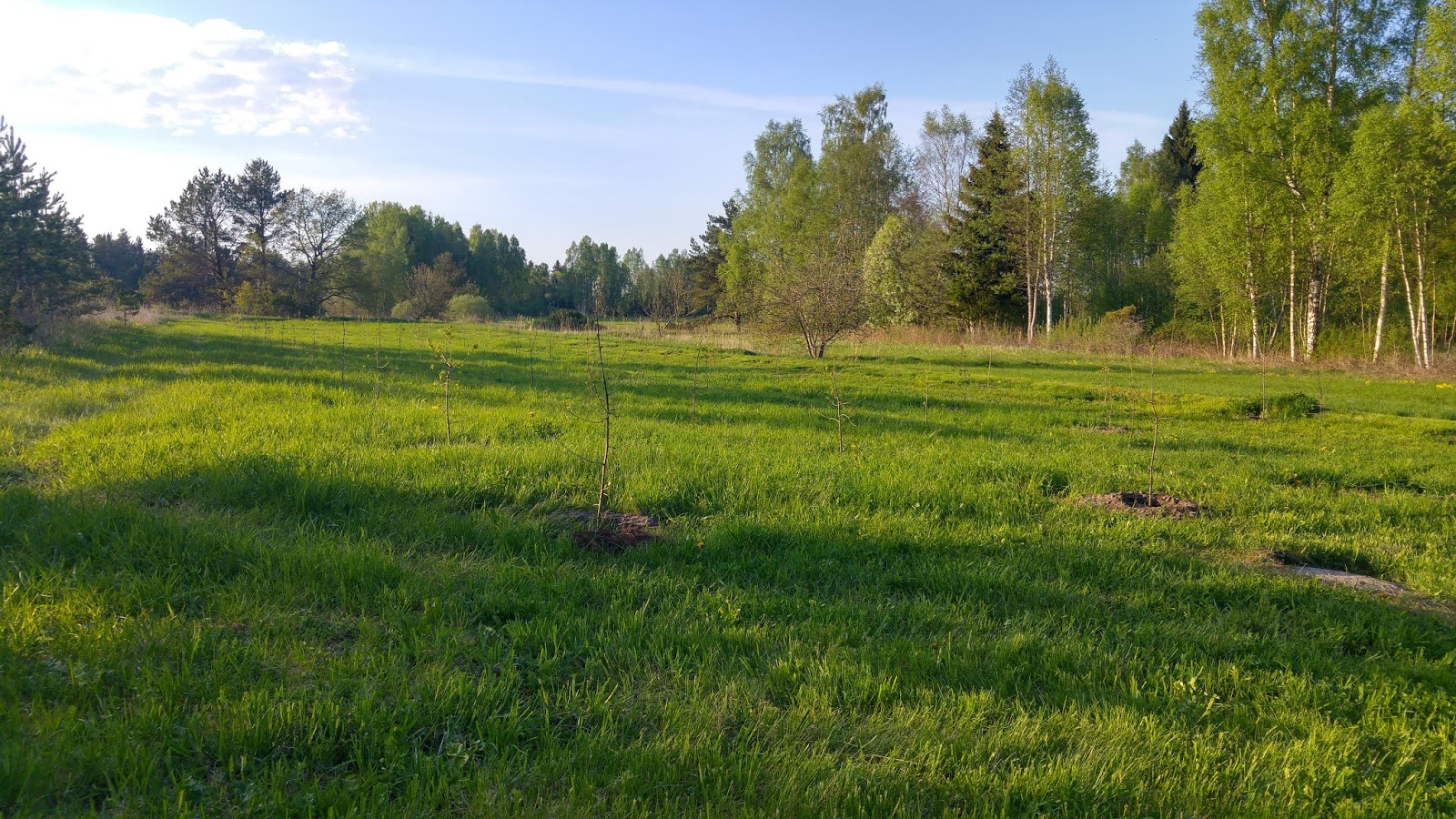 Müsteerium: 100 tamme