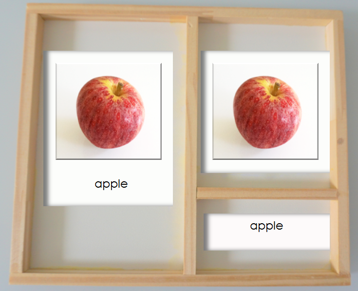 DIY Montessori 3 part Card Trays, Montessori Materials At Home ...