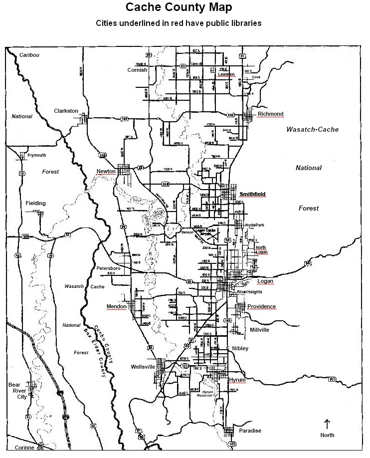 iosephvs bibliothecarivs: Cache County Library Paper