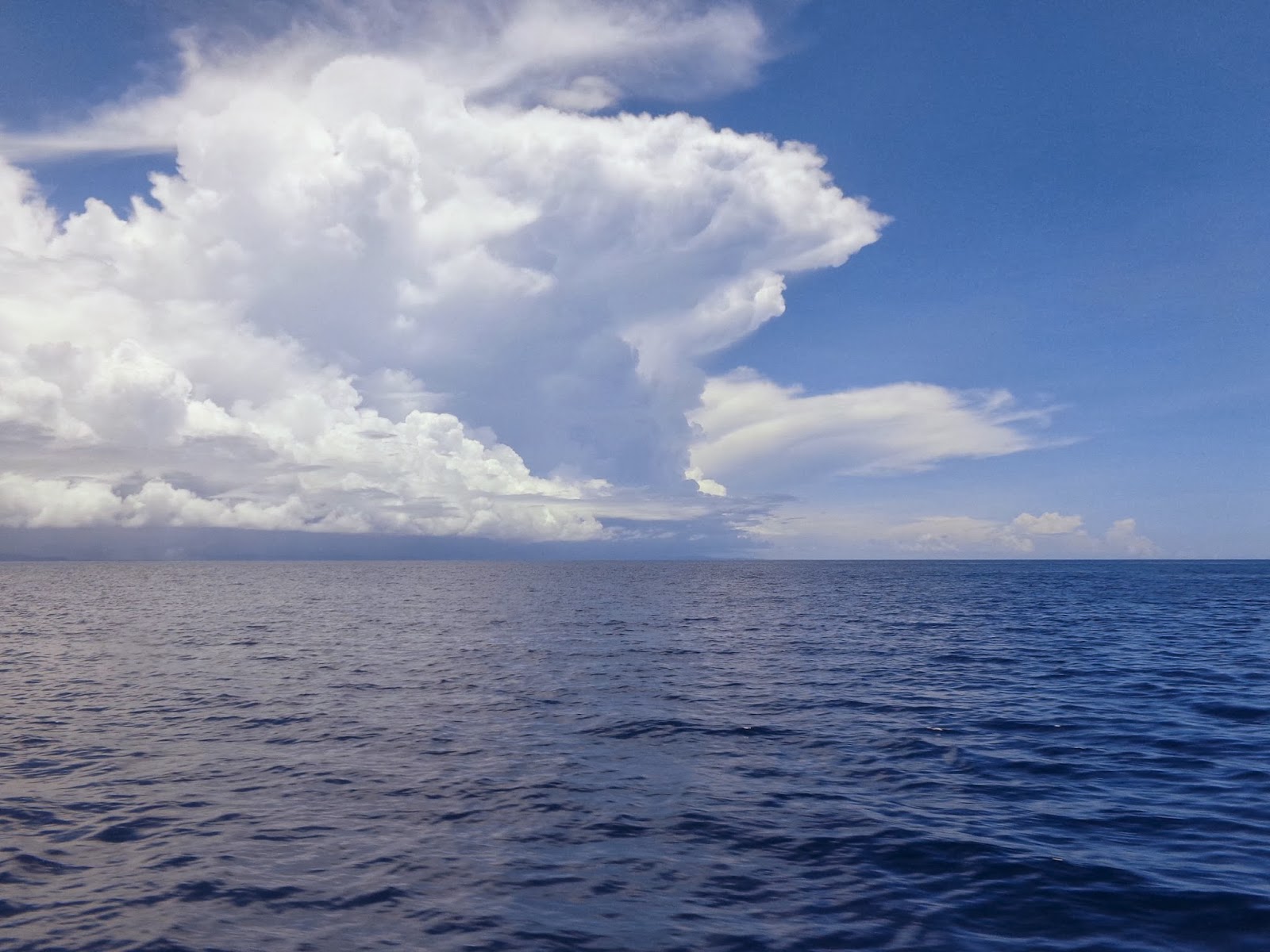 No direction home ... a complete unknown ... like a rolling luggager ...