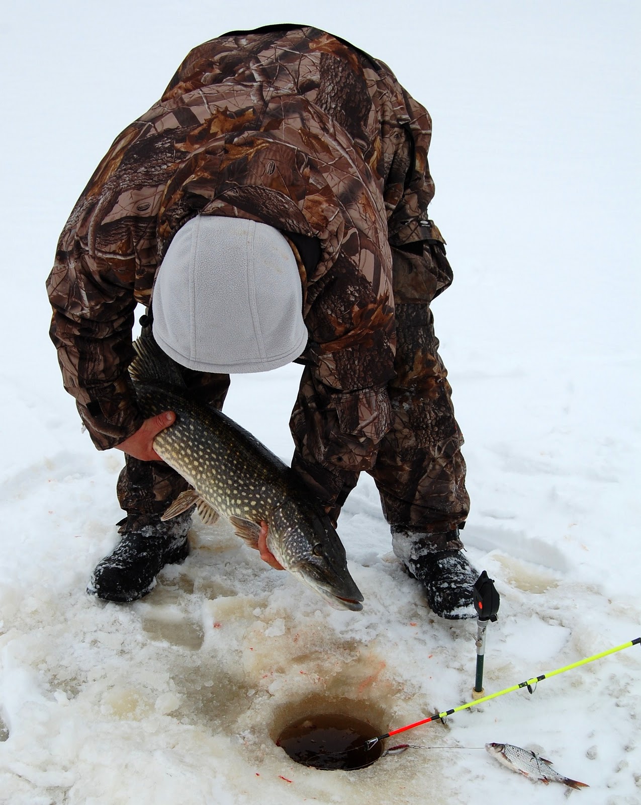 Predatorfishing my way by Luis Rasmussen. Sveriges ledande och ...