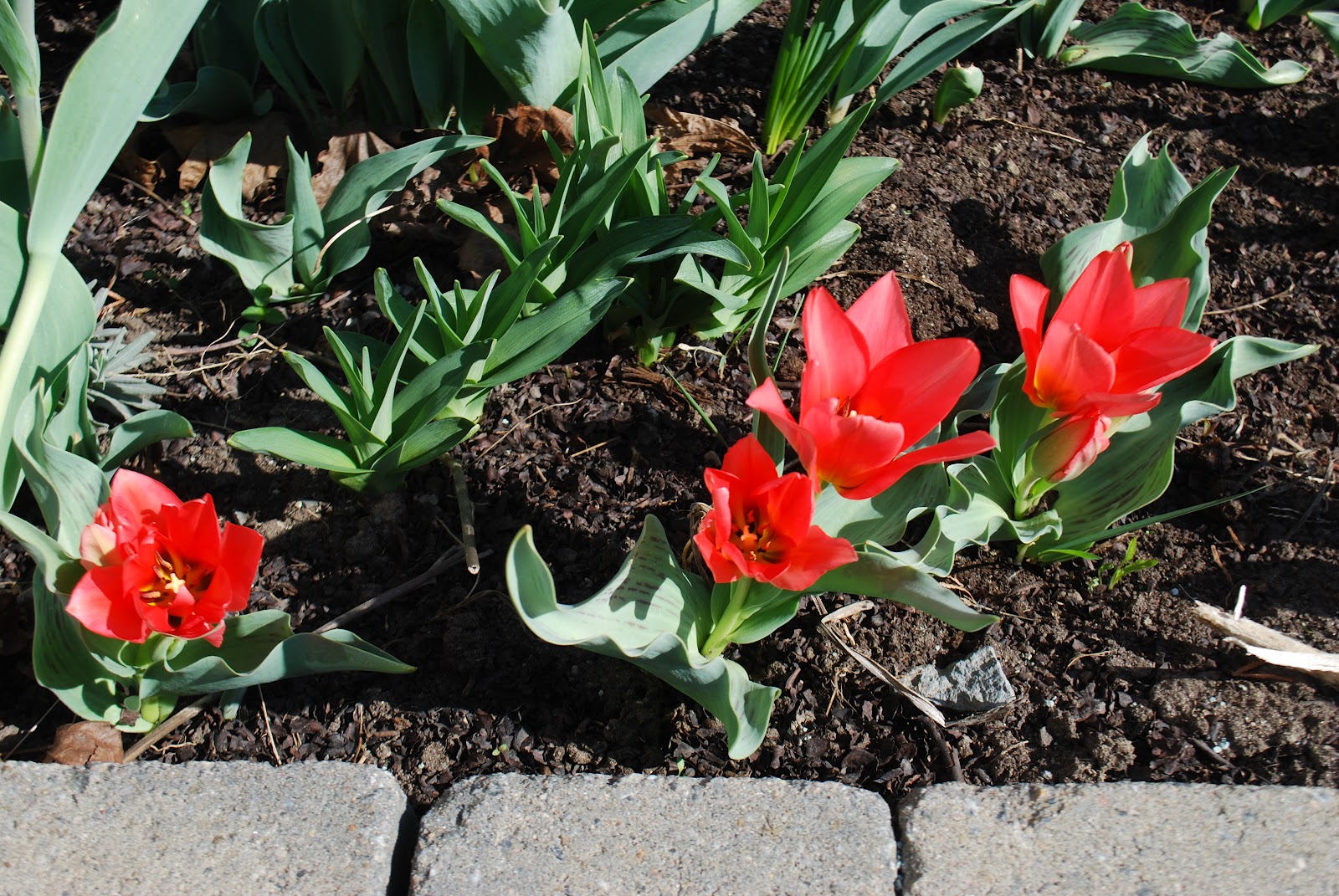3 Jardins au Québec: Le printemps en photos