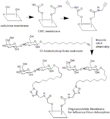 Click Chemistry: Oligosaccharide Cellulose Membrane by click chemistry ...