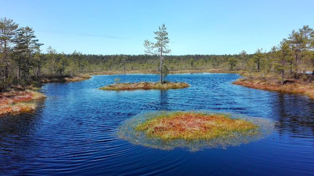 erasmus.ee (III: Národné parky Lahemaa a Soomaa ) ~ D&V