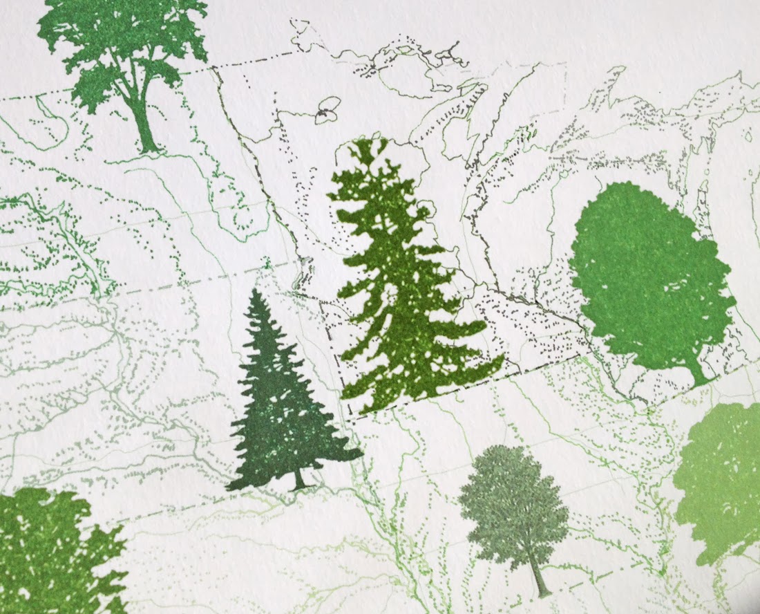 Turn-of-the-Centuries: AMERICAN TREESCAPE for the Tree-Lovers!