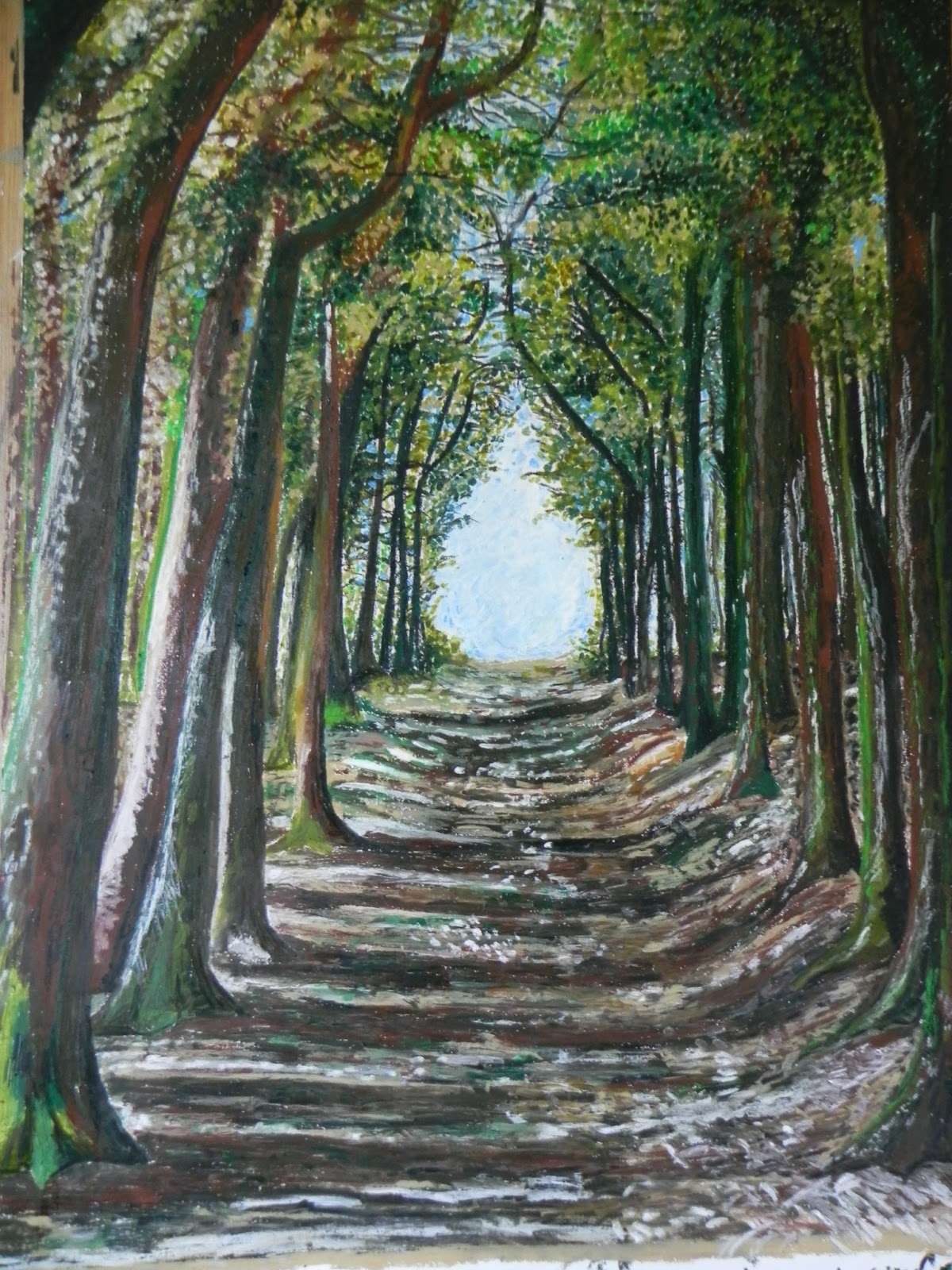 Mary Beauchamp - Art: Forest - oil pastels