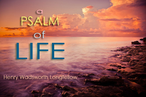 Just a Sentimental Girl