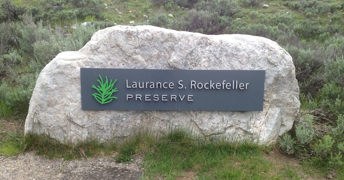 The Wolff's Tale: Laurance S. Rockefeller Preserve