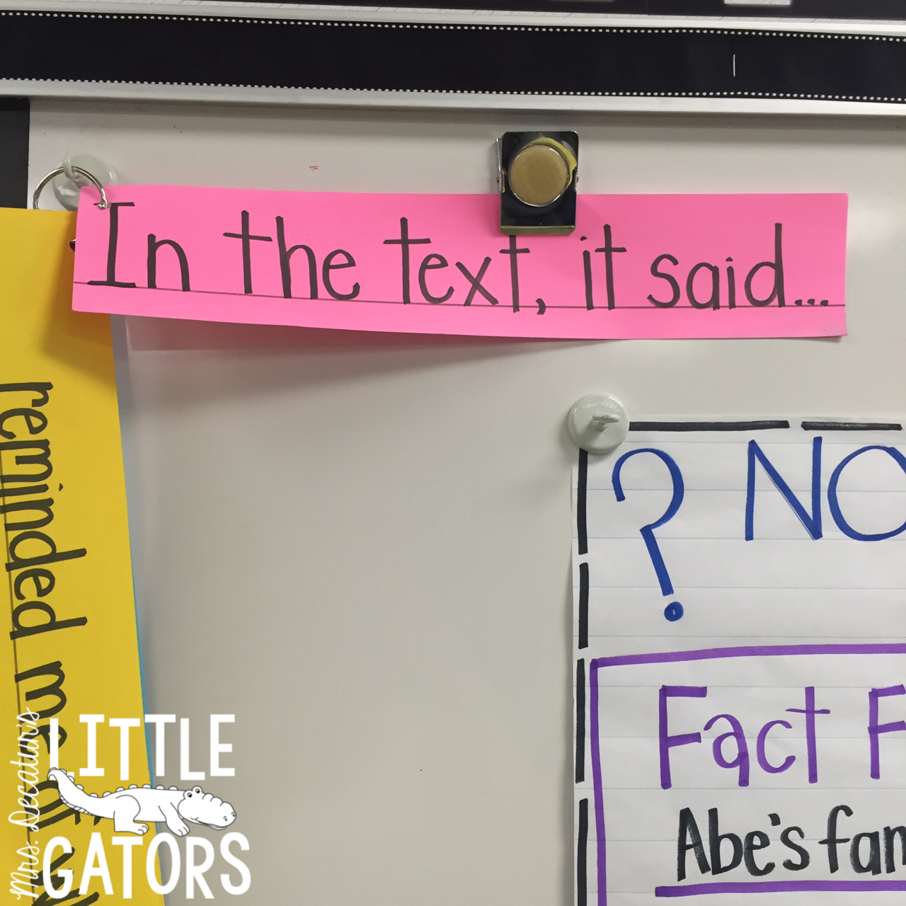 Mrs.Decatur's Little Gators: Thinking BEYOND the text