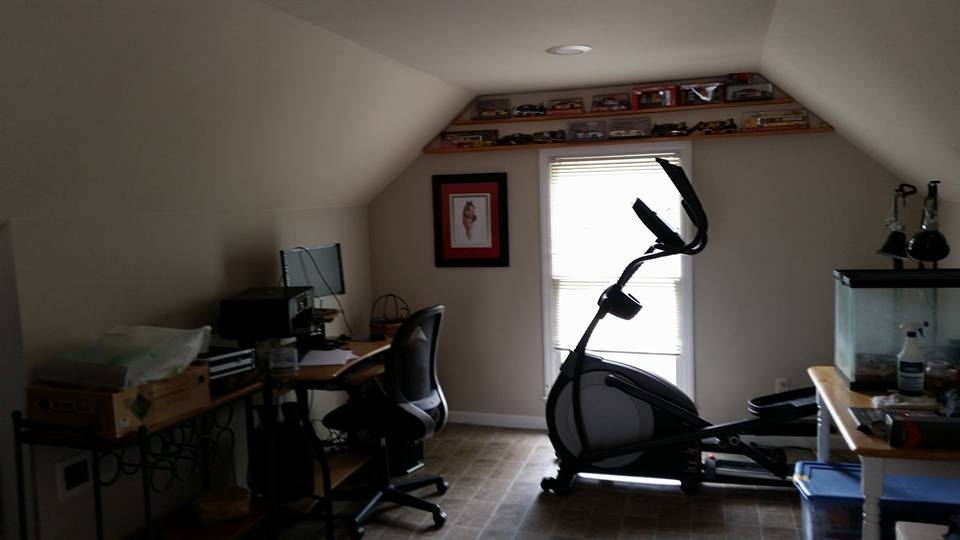 Can I Have a Pony?: Breyer Horse Display