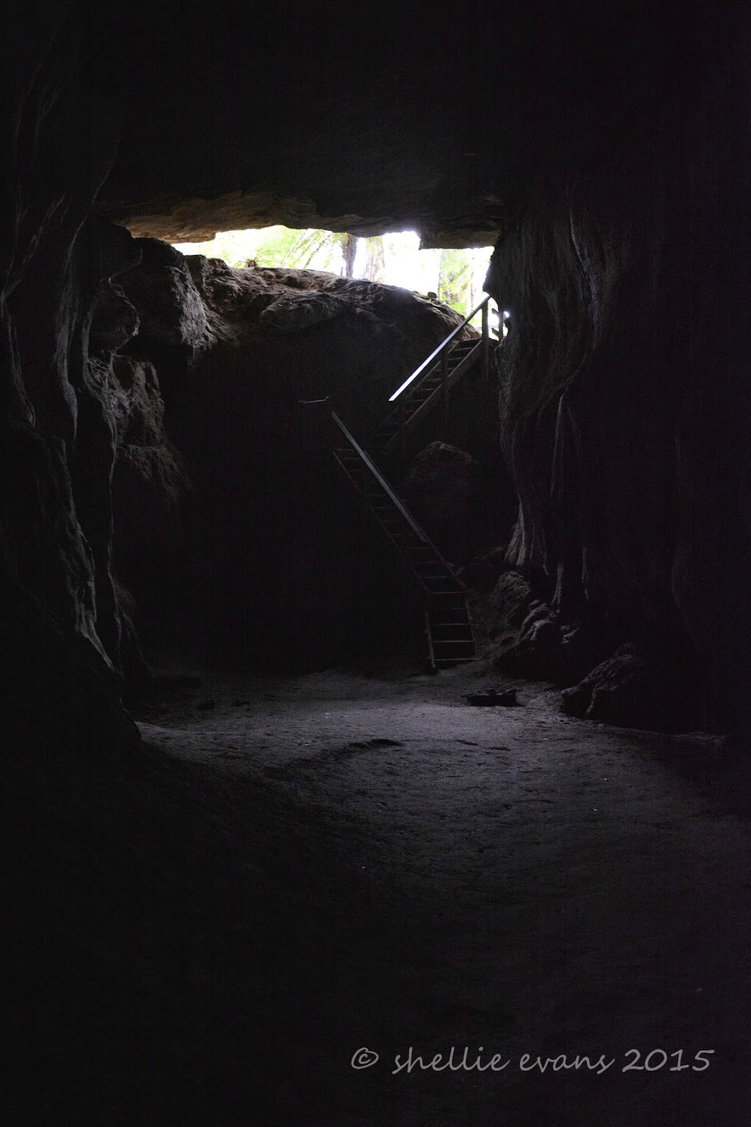 Two Go Tiki Touring: Crazy Paving & Box Canyon Caves- Oparara Basin